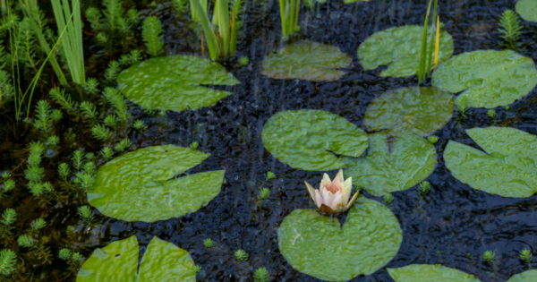 A strandidő még várat magára - Kiderül - Időjárás
